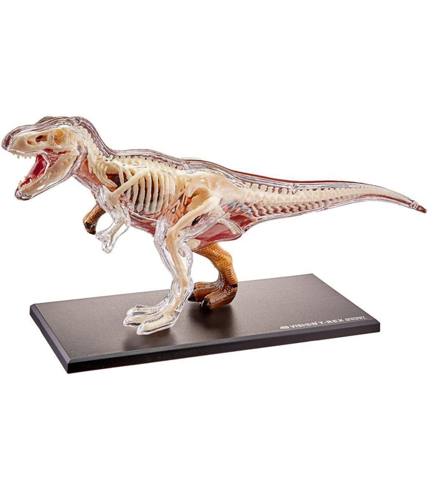 4D Master 4D Anatomi Puzzle // T-Rex - Keyif Bebesi | Kids & Toys