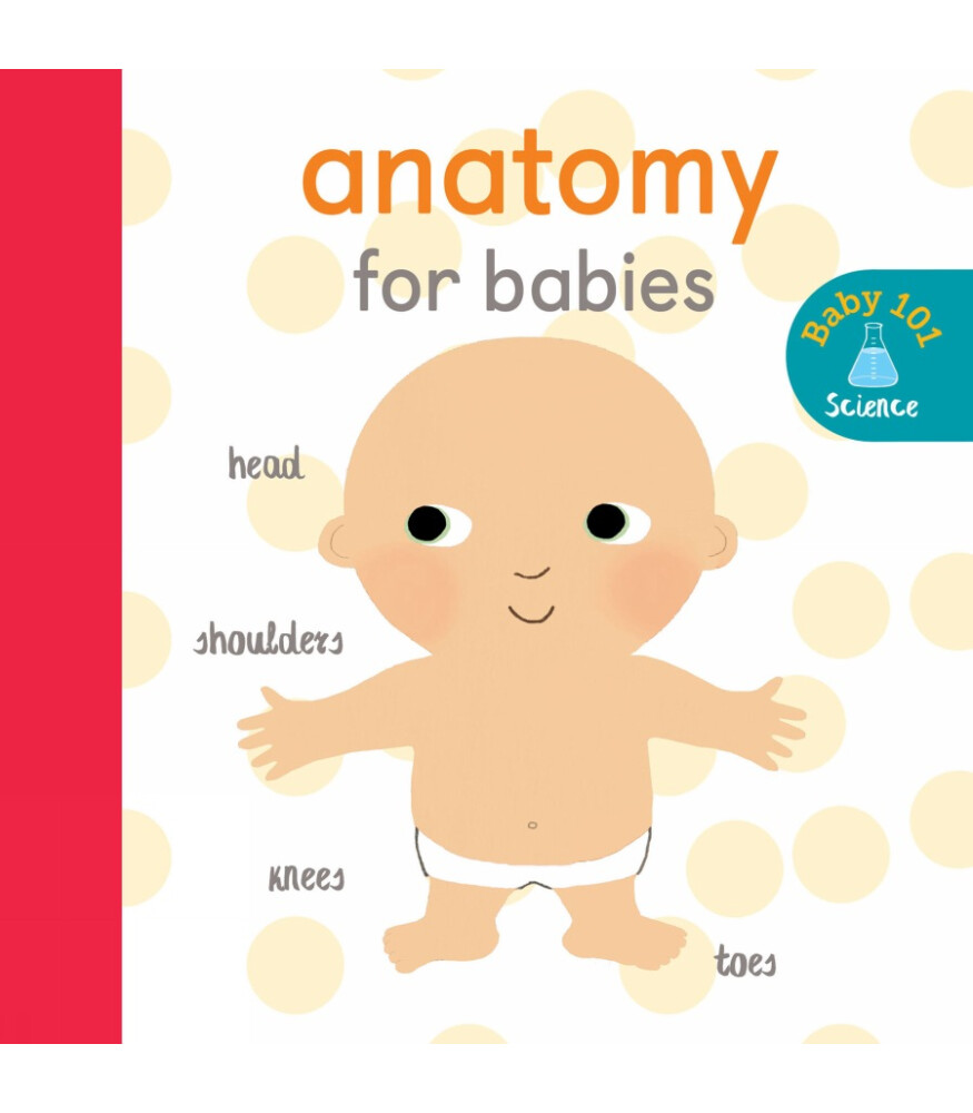 Little Tiger Press Baby 101: Anatomy for Babies - Keyif Bebesi | Kids ...