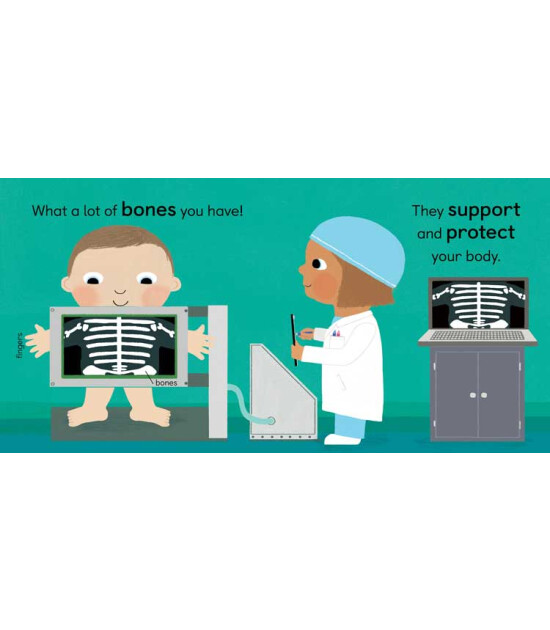 Little Tiger Press Baby 101: Anatomy for Babies - Keyif Bebesi | Kids ...