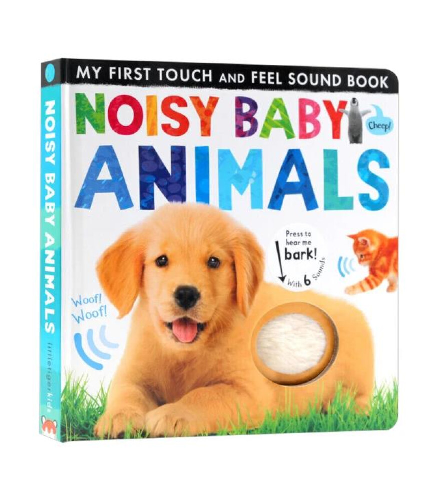 Little Tiger Press My First Touch And Feel Sound Book: Noisy Baby ...