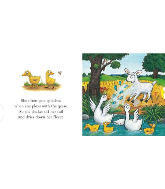 Pan Macmillan Lizzy the Lamb - Keyif Bebesi | Kids & Toys