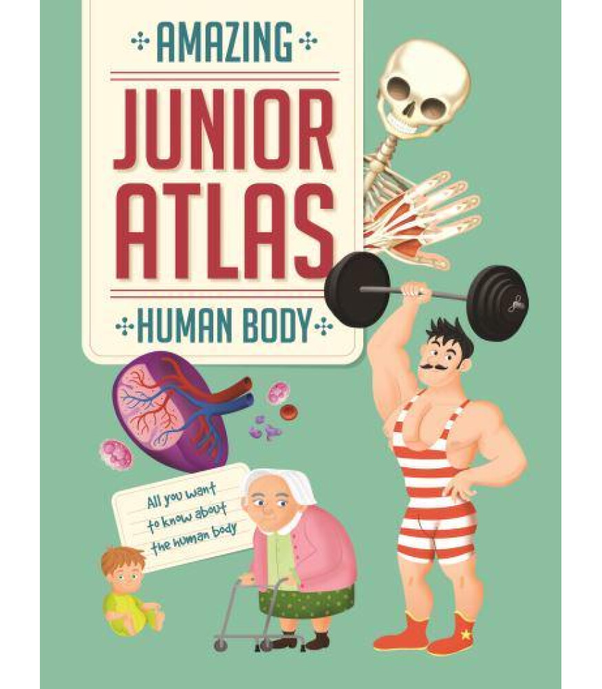 Yoyo Amazing Junior Atlas: Human Body - Keyif Bebesi | Kids & Toys